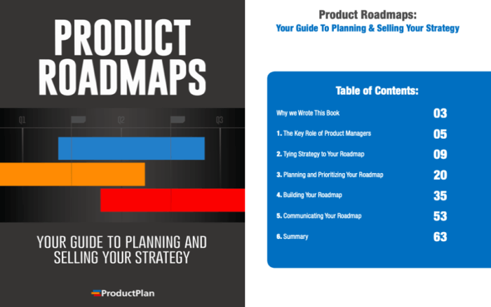 Download Your Copy of ProductPlan's Product Roadmap Book